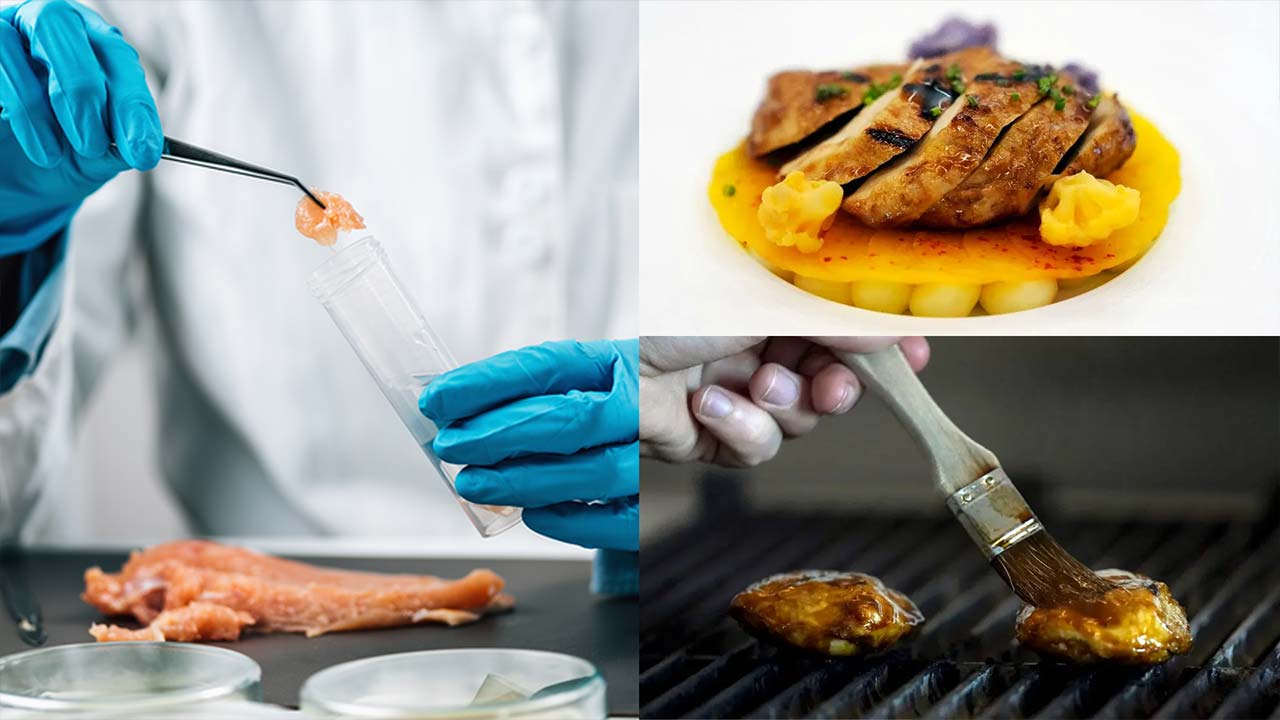 USDA Approves Lab-Grown Meat For Human Consumption, Will Debut In ... USDA Approves Lab-Grown Meat For Human Consumption, Will Debut In ...