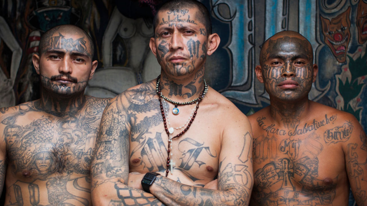 Former Gang Member Says Venezuelan Migrants Are Terrorizing Chicago ...