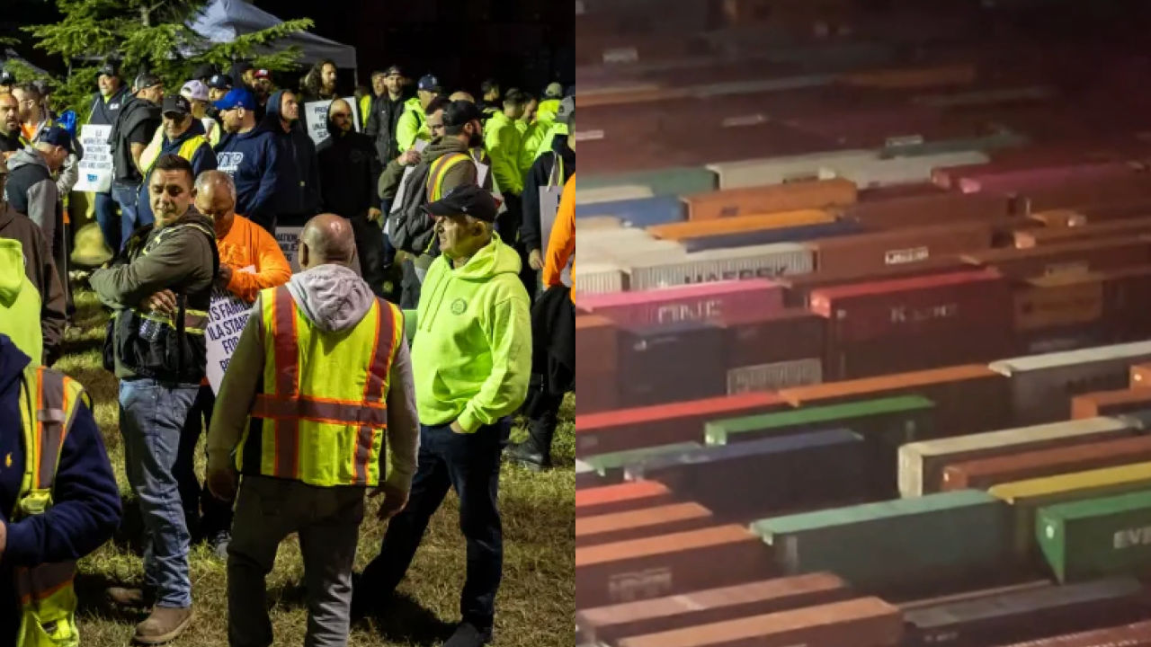 50000 Dock Workers Strike Over Wage Dispute - Anthony Brian Logan