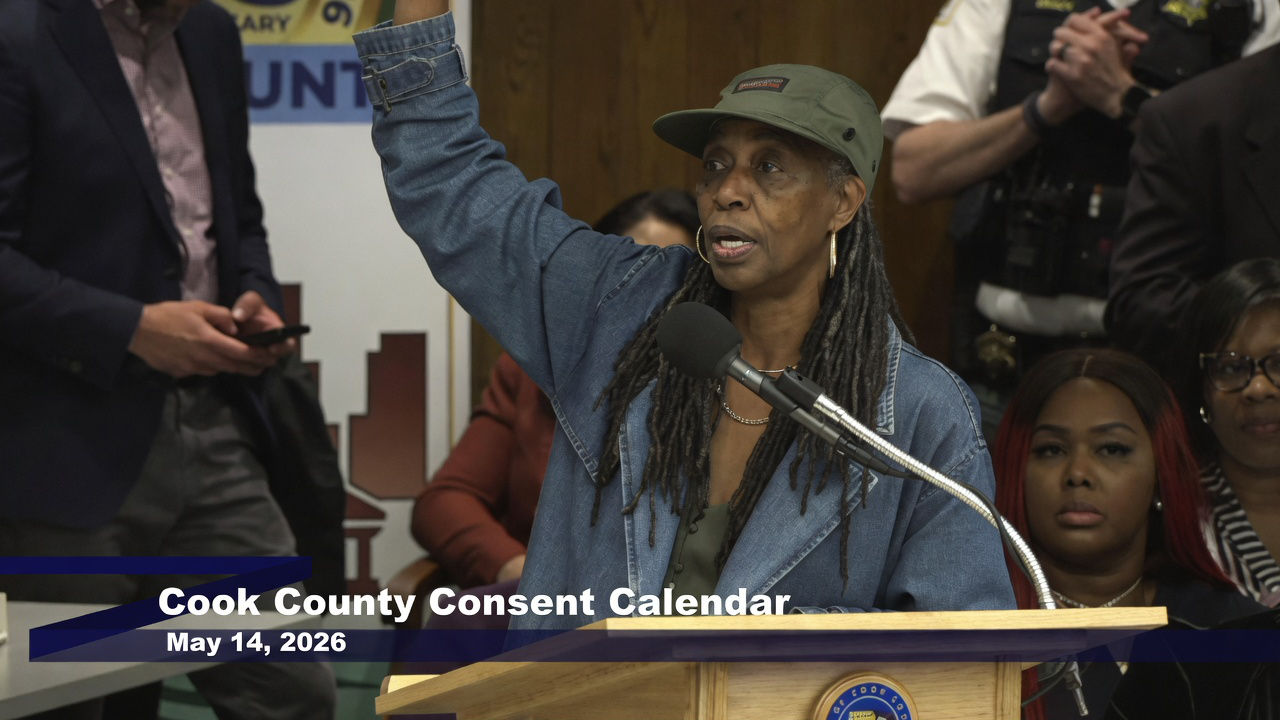 Jessica Jackson Challenges Cook County Officials on Voting Rights and ...